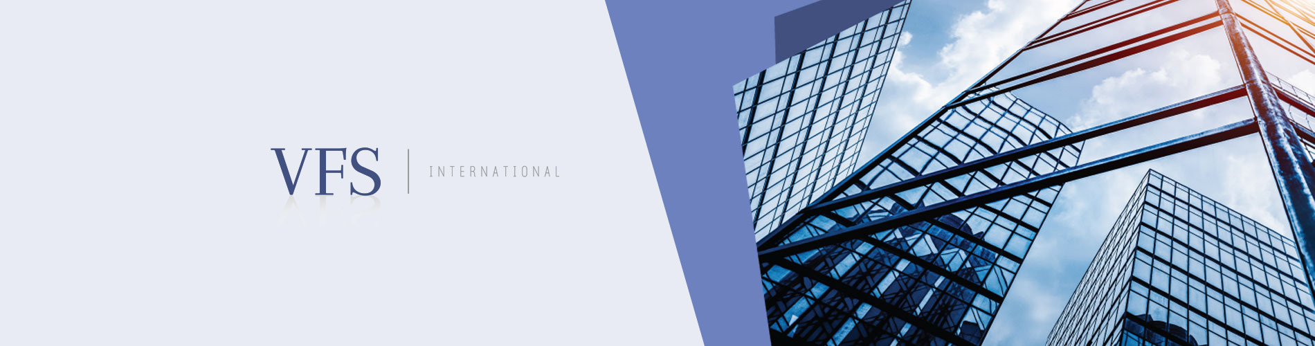 VFS - TAM Asset Management Intl.